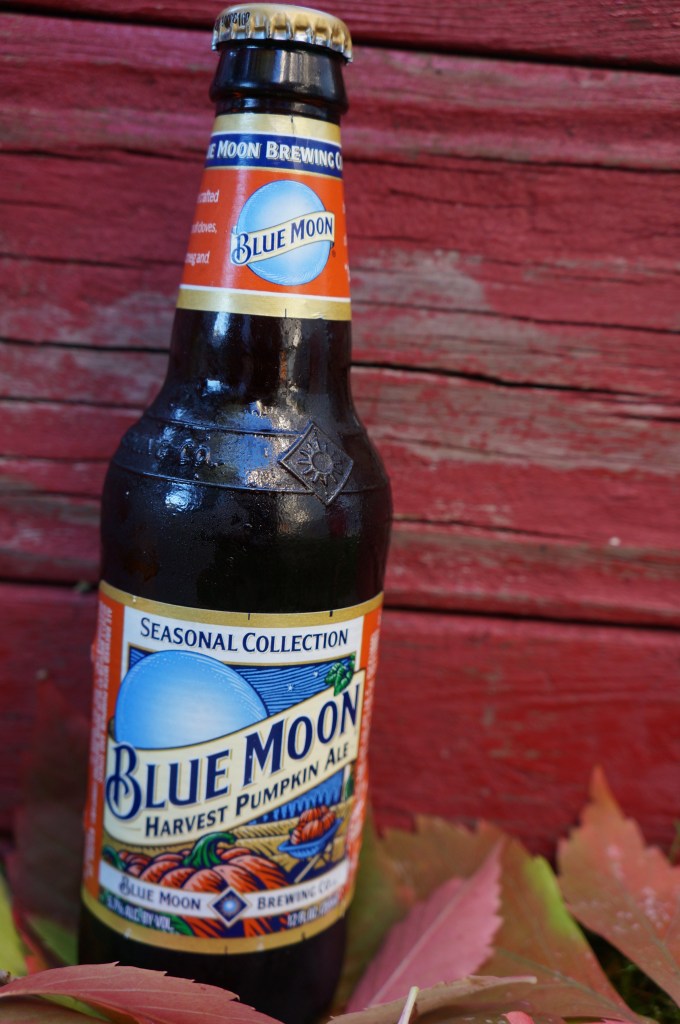 Cheers to Fall: Pumpkin Beer Review | Kailey Bender